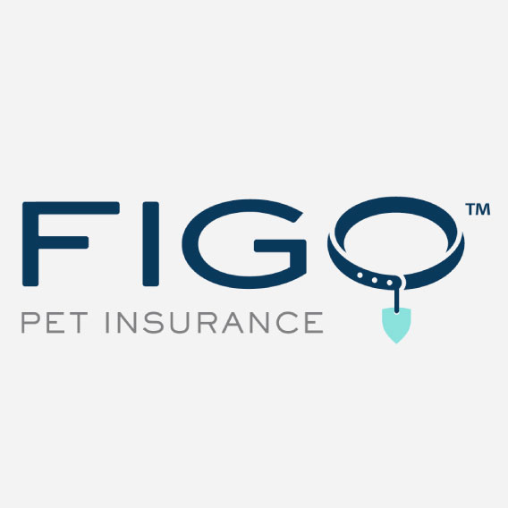 Best pet insurance Companies In Worcester, Massachusetts